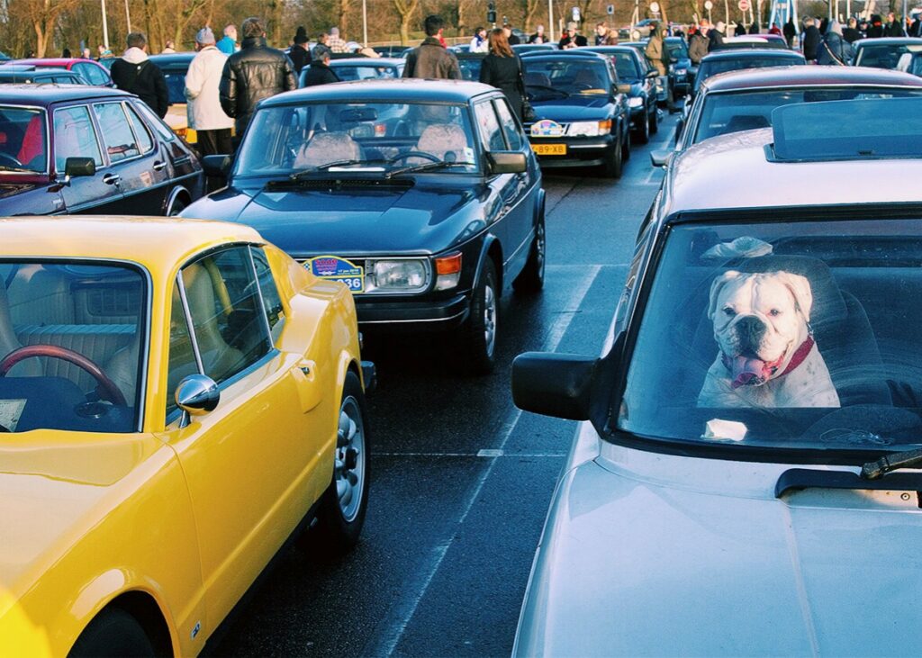Reverse parking: A better way to park in parking lots. | Workplace ...